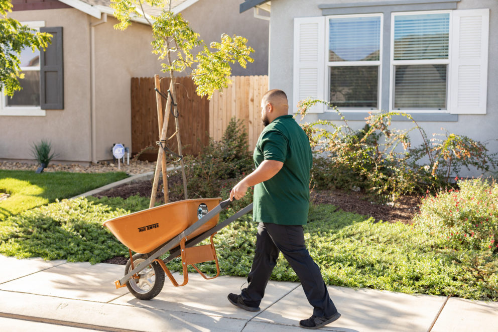 Yard Waste Removal | Toss Out Junk Removal | Modesto, California